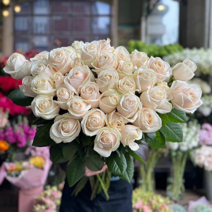 Sweet Avalanche Rose | Premium Blush Pink Flowers | Petals at Bibendum